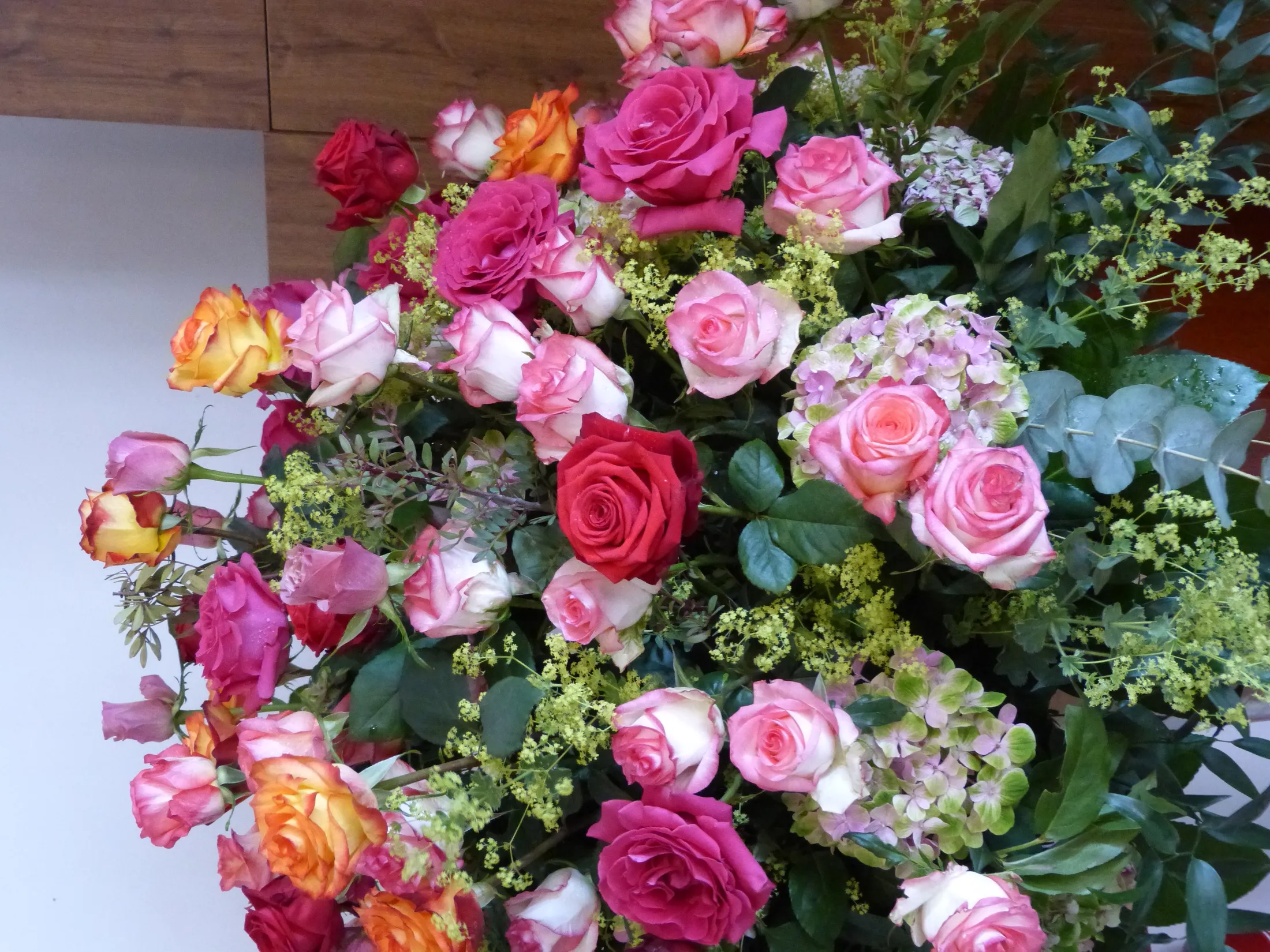 Výstavy růží - Nejkrásnější Růže